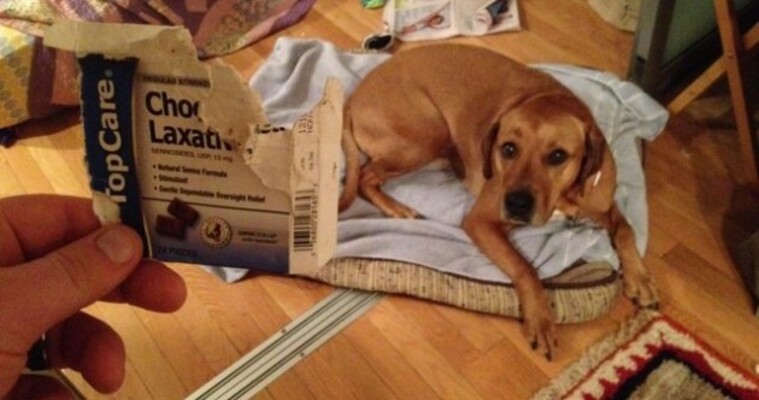 13 of the biggest mistakes in the history of the world · The Daily Edge