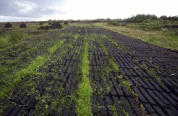 Turf cutters 'vindicate their rights' and cut turf in Roscommon and Galway