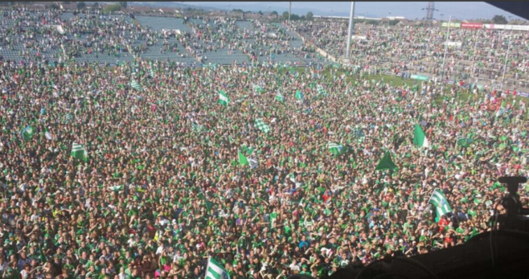 Here's what a pitch invasion looks like...Limerick style · The 42