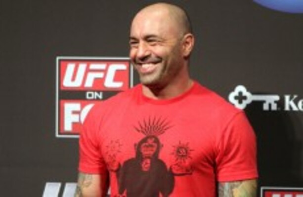 UFC host Joe Rogan loses his marbles over bruising hurling footage