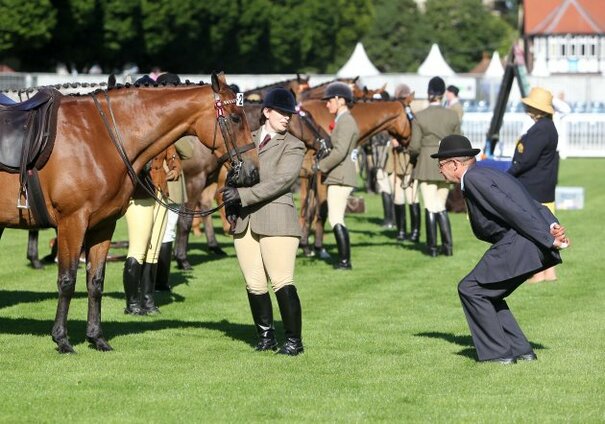19 great pictures from the opening day of the Dublin Horse Show