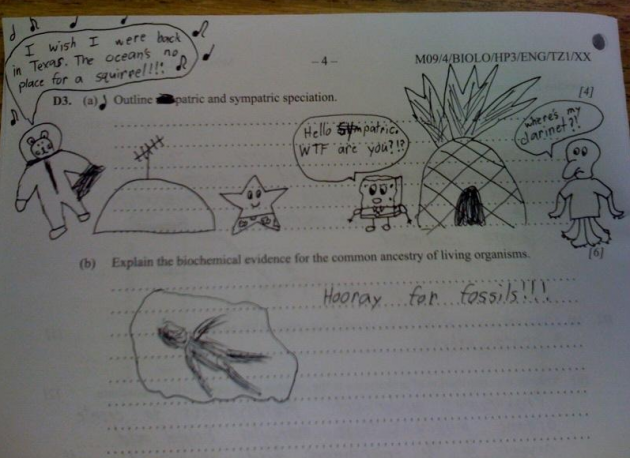 16 awful exam answers to comfort even the worst Leaving Cert performer