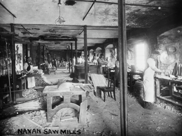 Pictorial record shows the Irish hard at work 100 years ago