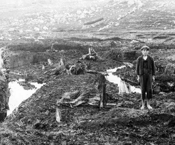 Pictorial record shows the Irish hard at work 100 years ago