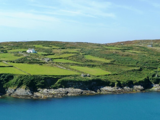 9 defining characteristics of the Irish neighbour as a species