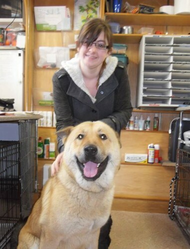 Pic: This rescue dog is unbelievably happy going to his new home