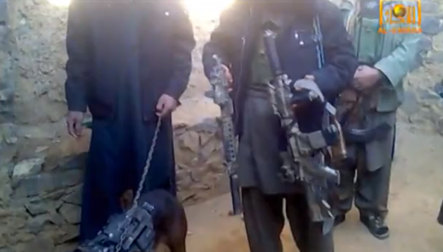 Taliban capture US Military sniffer dog, insist he is 'alive and well'