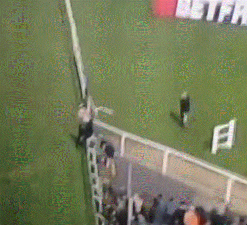 GIF: Irish jockey Daryl Jacob injured as Port Melon crashes through ...