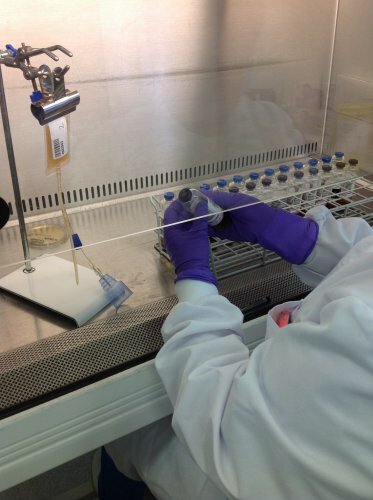 Tracing The Blood Line: Here’s what happens to your blood after you donate