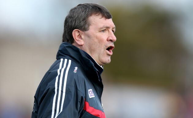 Cork hurlers seal promotion as Horgan and Lehane bag goals in win over ...