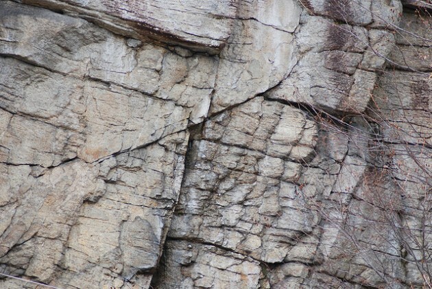 Happy National Cleavage Day! Here are 5 fine specimens to celebrate