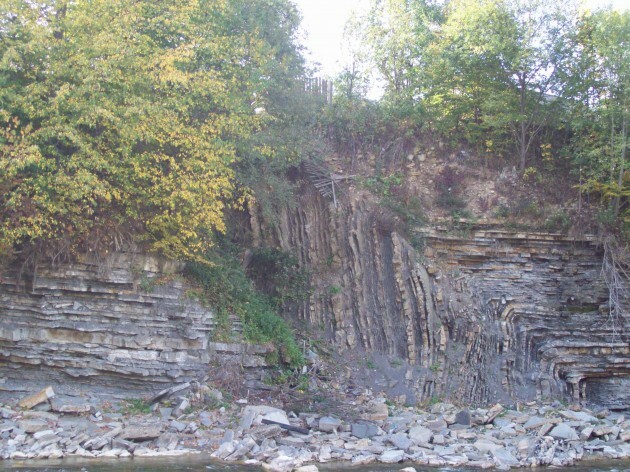 Happy National Cleavage Day! Here are 5 fine specimens to celebrate