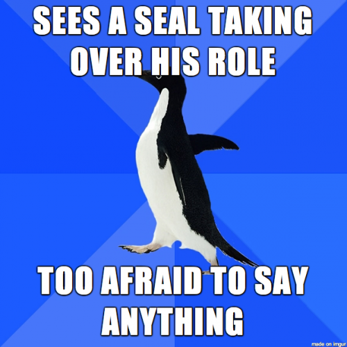 Worried Seal is the new meme that perfectly sums up your life