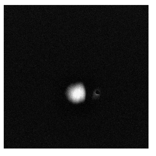 16 mind-blowing GIFs of everyday foods in an MRI scanner