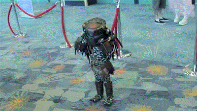This insanely cute baby predator is just TOO much · The Daily Edge