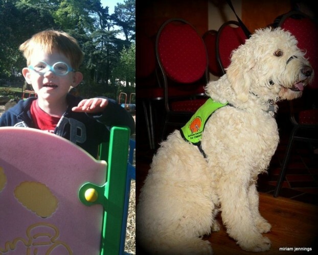 Here's how these furry friends are changing the lives of autistic ...