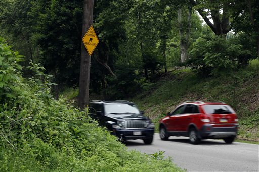 How does the toad cross the road? With help from a detour of a major street