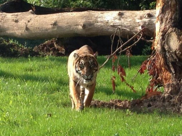 Drumroll please... Ireland's top ten visitor attractions are...?