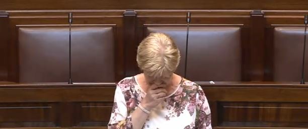 'I never fought with her over toys': Here is Anne Ferris's moving Dáil ...