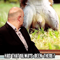 Great British Bake Off is back! Here's why we're all so mad about it...