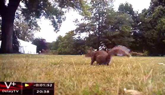 Great British Bake Off is back! Here's why we're all so mad about it...