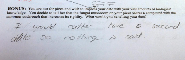 12 terrible exam answers to soothe your post-Leaving Cert results blues