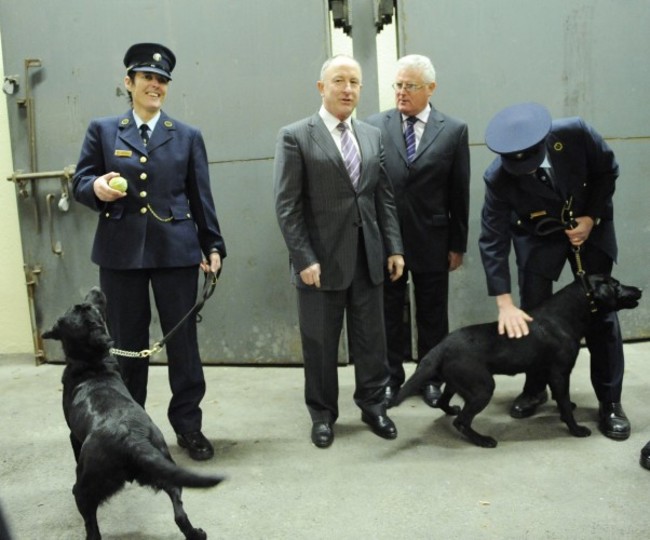 Sniffer dog unit at Wheatfield Prison 'compromised' after false ...