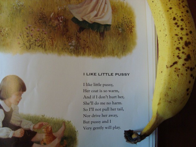 11 of the most inappropriate children's books ever · The Daily Edge