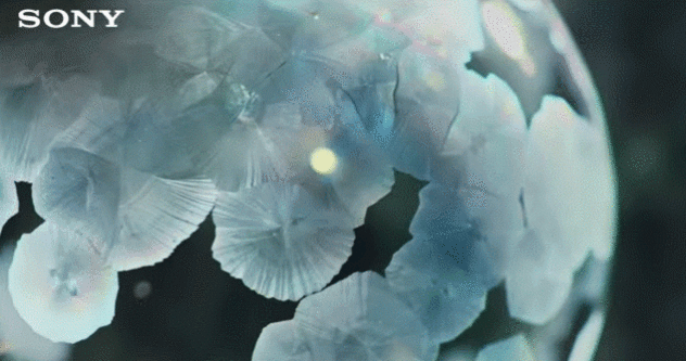 WATCH: This ad for Sony's 4K HDTV is unbelievably beautiful