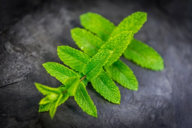 12 words and phrases that have a totally different meaning in Cork