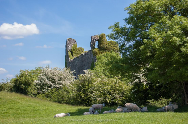 Heritage Ireland: Deserted medieval towns, the Hellfire Club and Lady ...