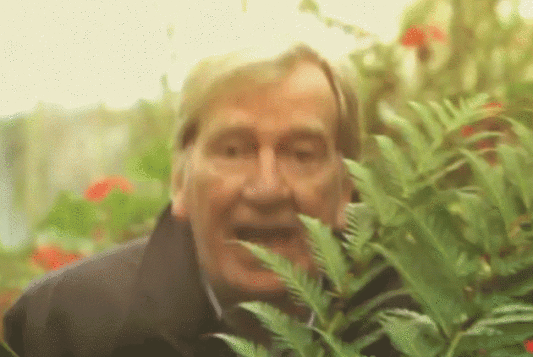 RTÉ sent Tom McGuirk out to the Bush and he came back with this ...