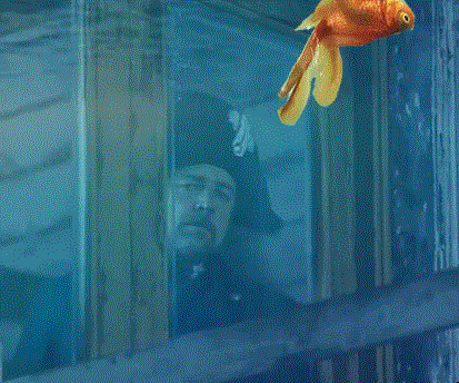 Everything you need to know about the Russell Crowe meme taking over ...