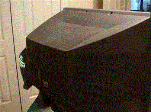 Everything you need to know about the Russell Crowe meme taking over ...