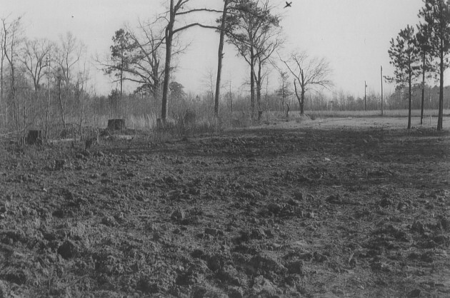 Mars Bluff: A bizarre story of a nuclear bomb, dead chickens and a ...