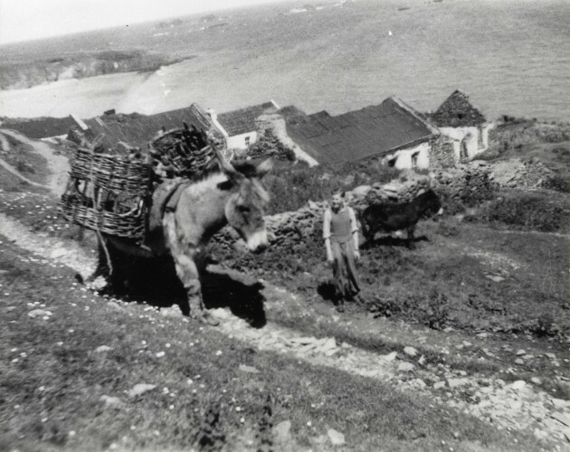 Images reveal life in west Kerry and the Blaskets 60 years ago