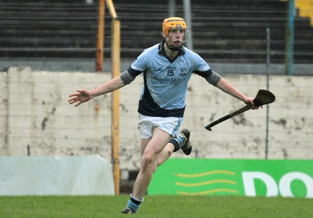 5 new faces in Limerick hurling panel, 6 depart, O'Grady still captain ...