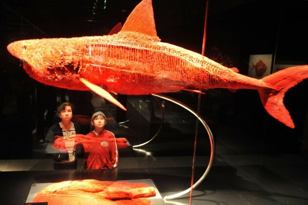 Display of Inside-Out animals 'will show people they're flesh and bone ...