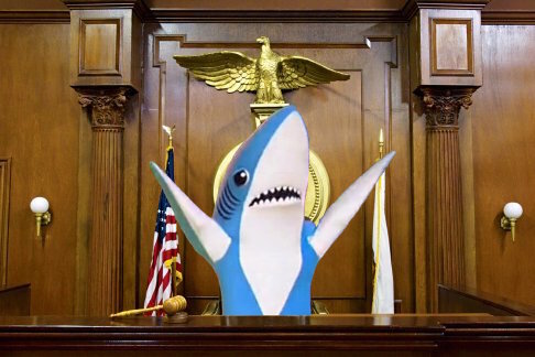 The 18 best internet reactions to Katy Perry's confused shark dancer