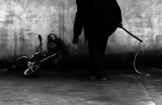 6 beautiful but devastating nature photos that you must see