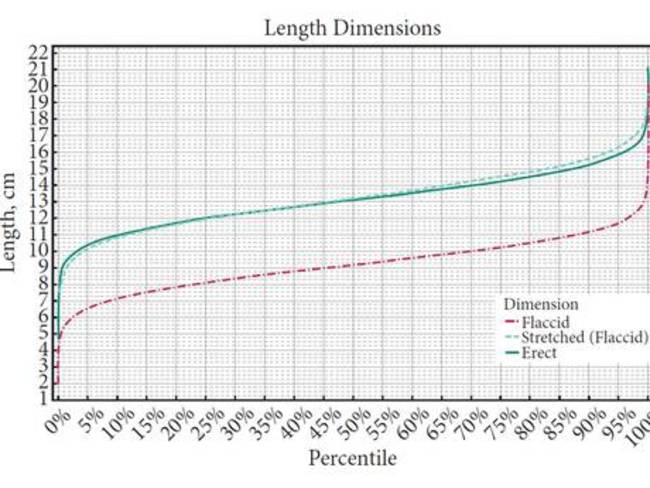 How big is the average penis? · TheJournal.ie