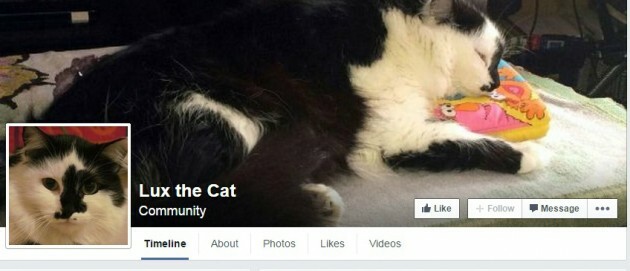 On the first anniversary of this cat holding a family hostage... where ...