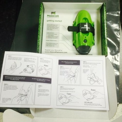 An Irish product that predicts when a cow will give birth is about to ...