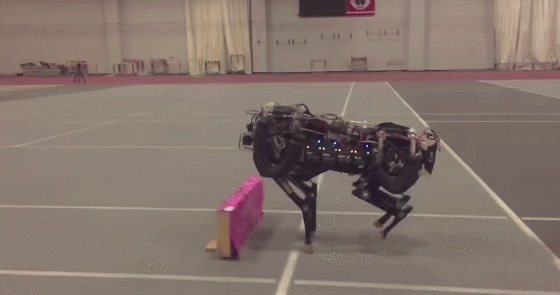 This four-legged robot can jump over walls without breaking its stride
