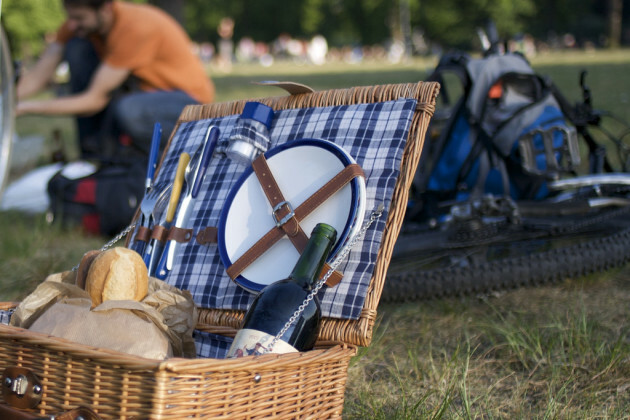 6 tips for the perfect picnic - from planning to cleanup and everything ...