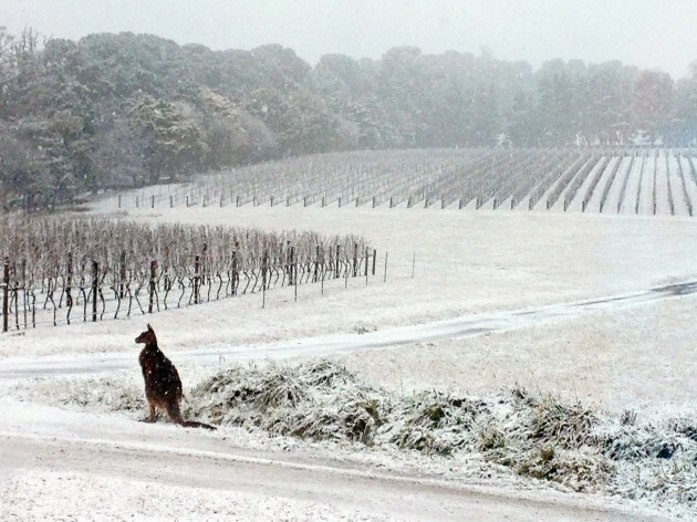 There's been heavy snow in Australia and people don't know what's going on