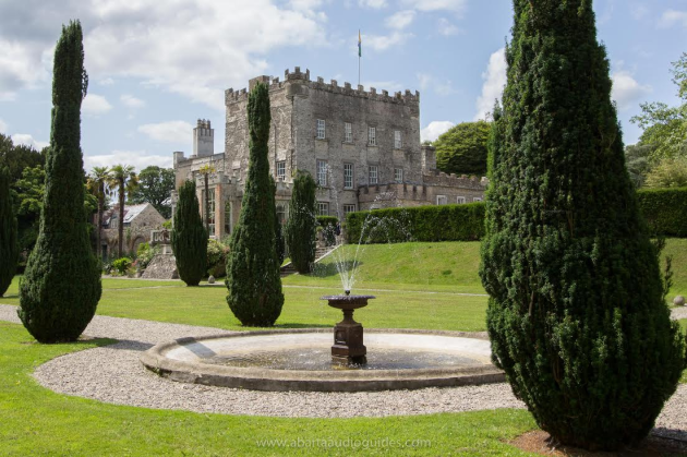 The doctor who wanted to turn a castle into a mental asylum but blew it ...