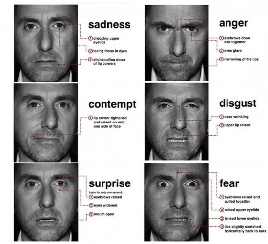 Here's how to tell if someone is lying... · TheJournal.ie