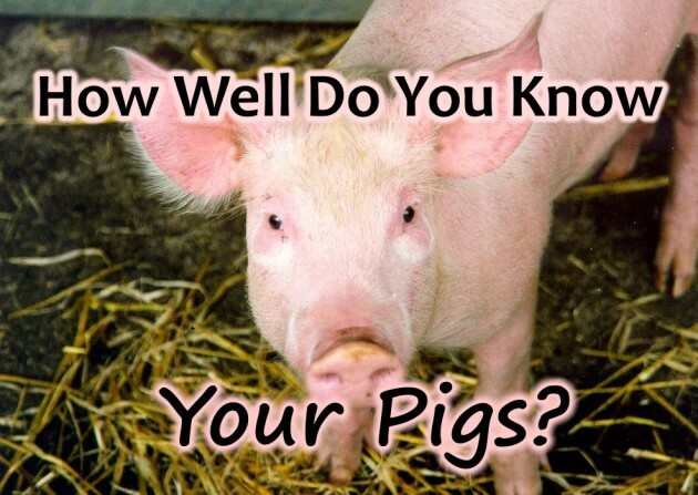 How Well Do You Know Your Pigs? · The Daily Edge