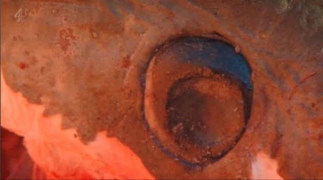 This is what the inside of a great white shark looks like